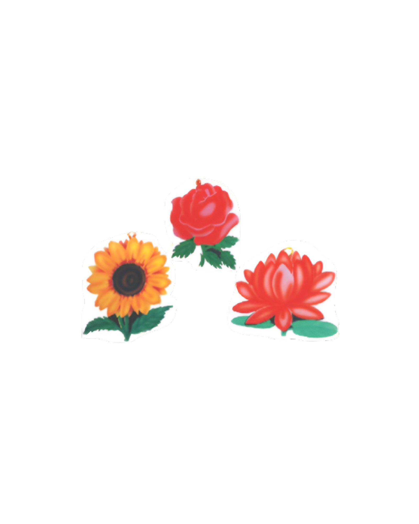 Wall Decor Flowers for Preschool - Edi School Mart
